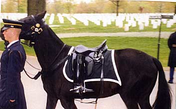 Colonel Robert L. Strayer